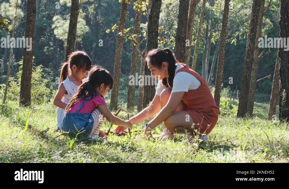 Happy family collecting firewood Stock Videos & Footage - HD and 4K ...