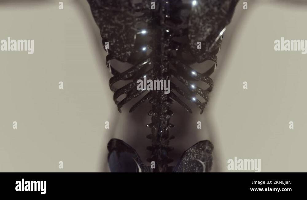 transparent human body with visible skeletal bones Stock Video Footage ...