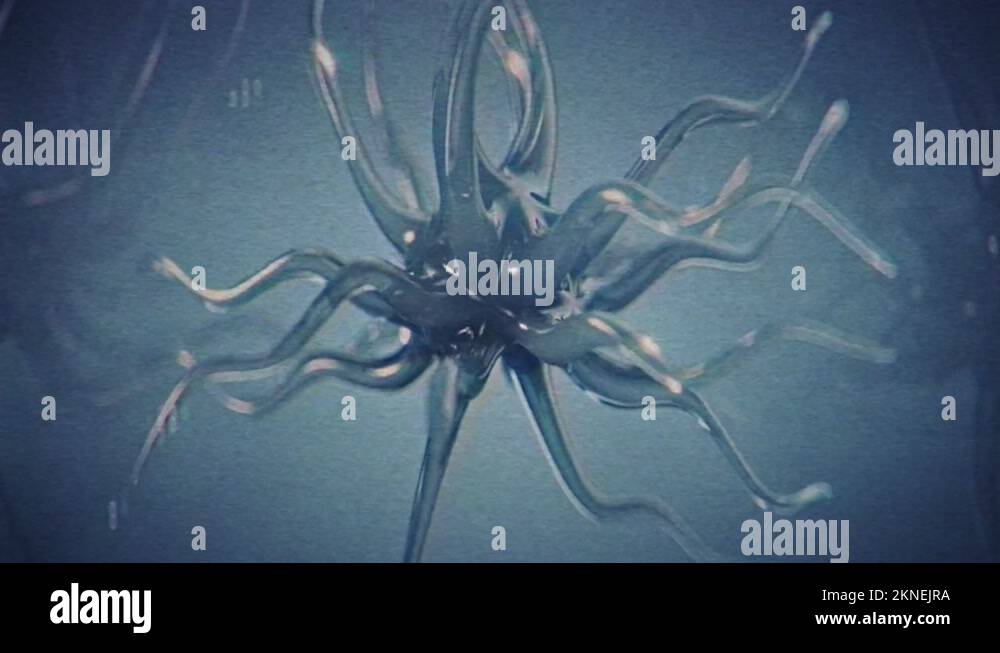 Microorganism bacteria Stock Videos & Footage - HD and 4K Video Clips ...