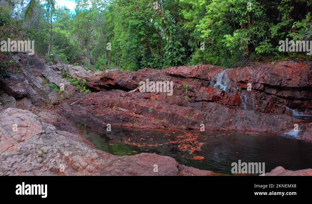 Darwin nature reserve Stock Videos & Footage - HD and 4K Video Clips ...