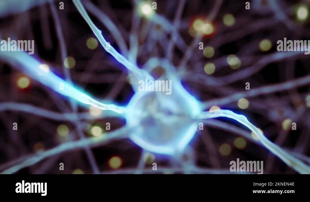 3d animation of the nerve cells with curve axons in the human brain ...