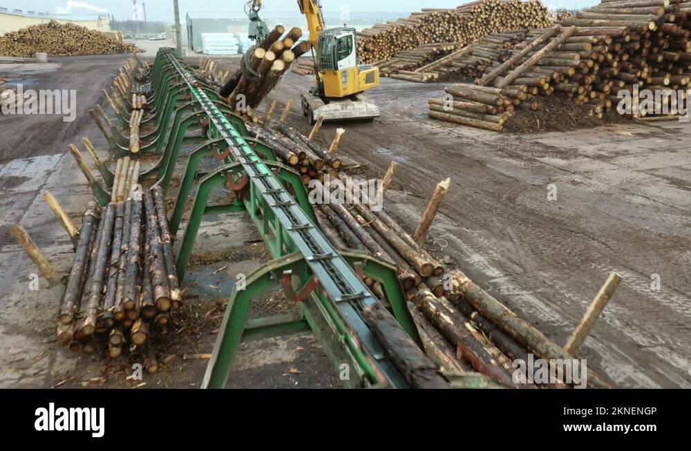 A logging machine transports logs to a stack Stock Video Footage - Alamy