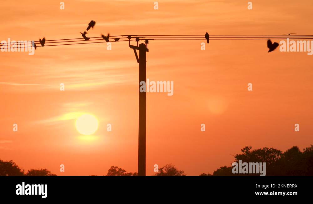 Overhead wires and cables Stock Videos & Footage - HD and 4K Video ...