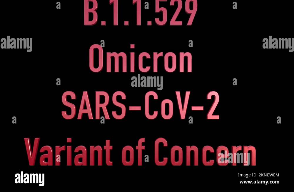 Risk classification Stock Videos & Footage - HD and 4K Video Clips - Alamy