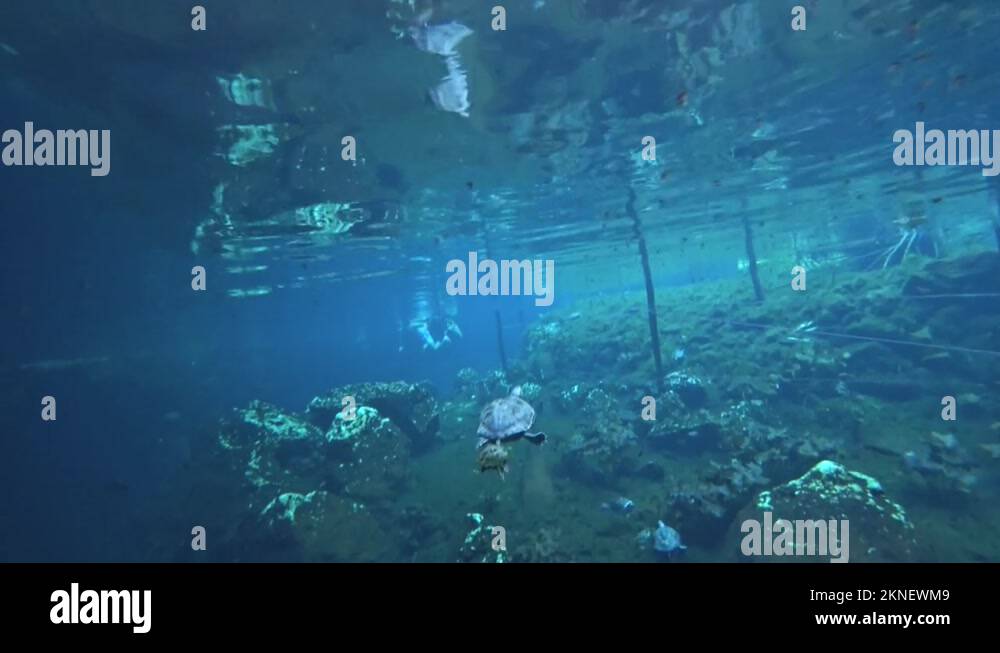 Natural swimming pool formation Stock Videos & Footage - HD and 4K ...