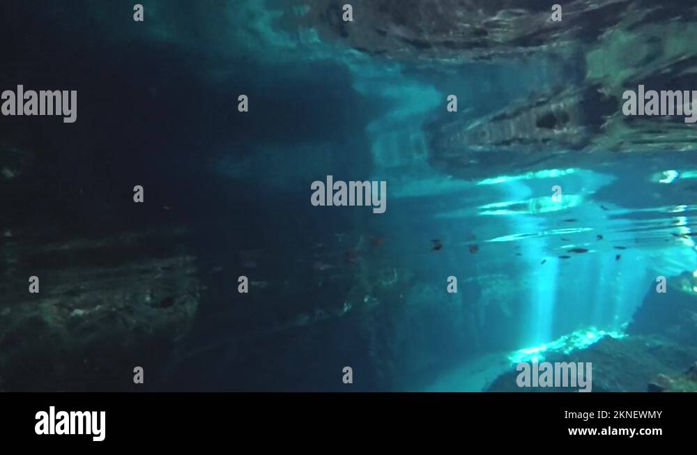 Under the water surface of the 'Gran Cenote' natural limestone pool ...