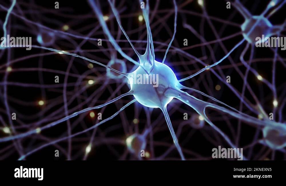 Neurons microscope Stock Videos & Footage - HD and 4K Video Clips - Alamy