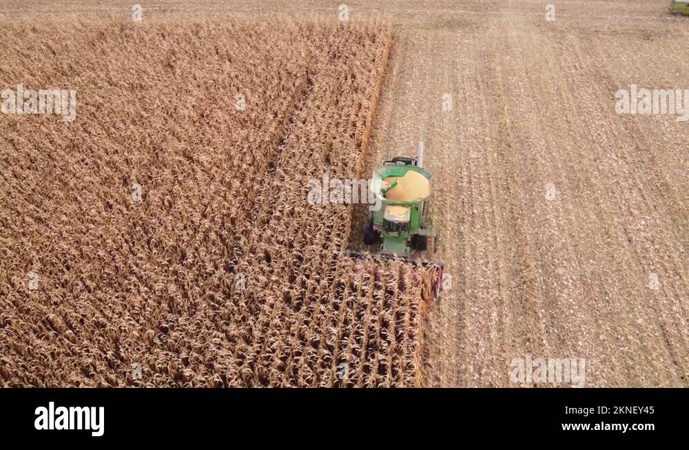 Corn work Stock Videos & Footage - HD and 4K Video Clips - Alamy