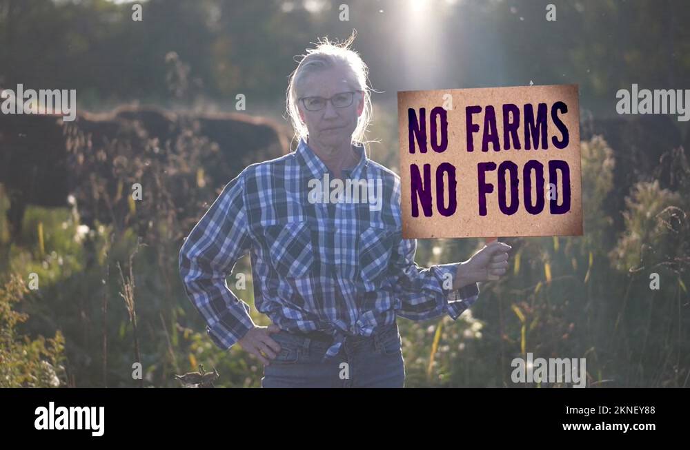 Unhappy, sad, backlit, pretty woman holding sign that says No Farms No ...