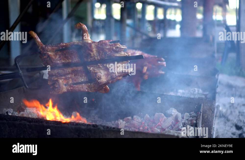 Suckling whole roasted pig Stock Videos & Footage - HD and 4K Video ...