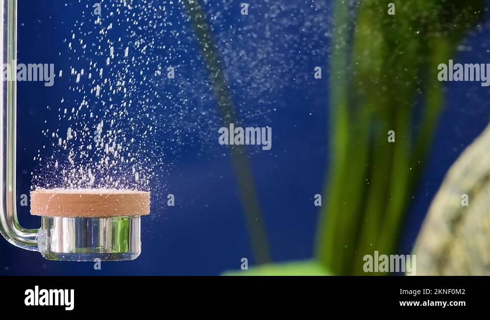 Oxygen diffuser Stock Videos & Footage - HD and 4K Video Clips - Alamy