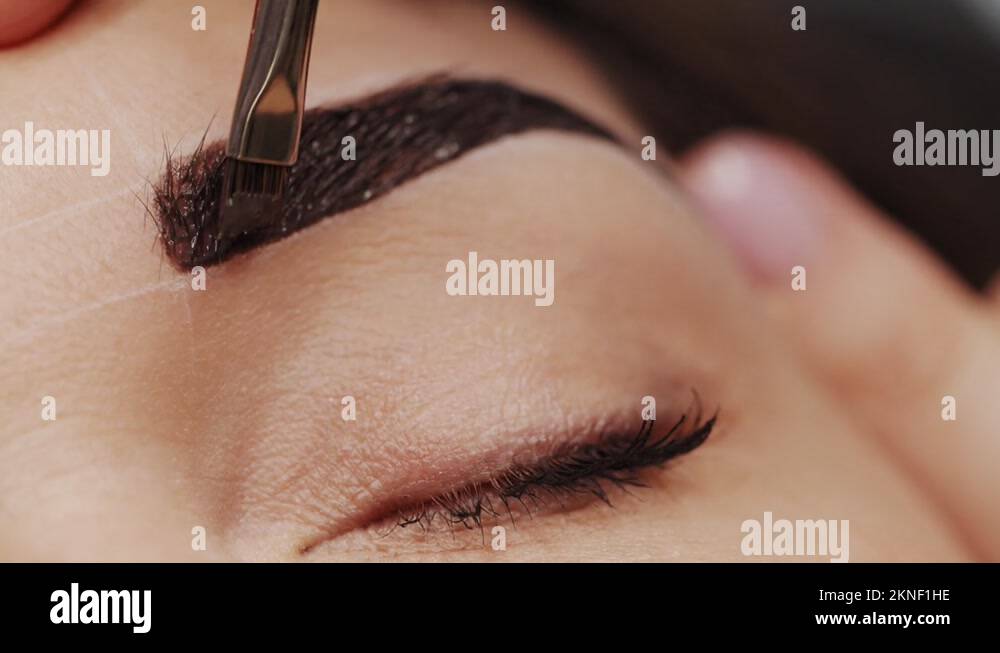 Eyebrow coloring. Professional lamination procedures of female eyebrows ...