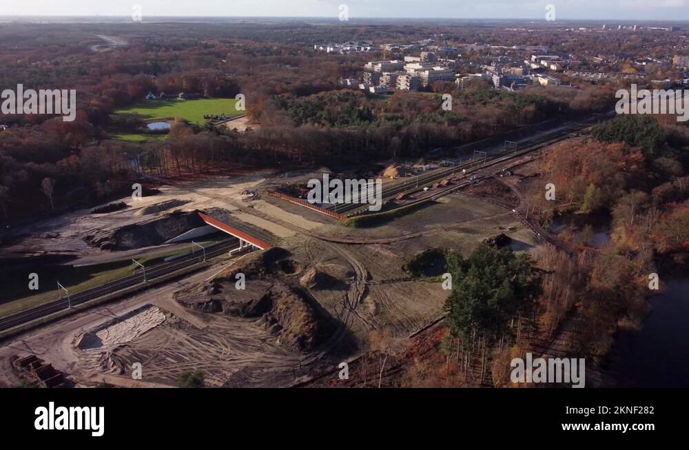 Wildlife bridge overpass Stock Videos & Footage - HD and 4K Video Clips ...