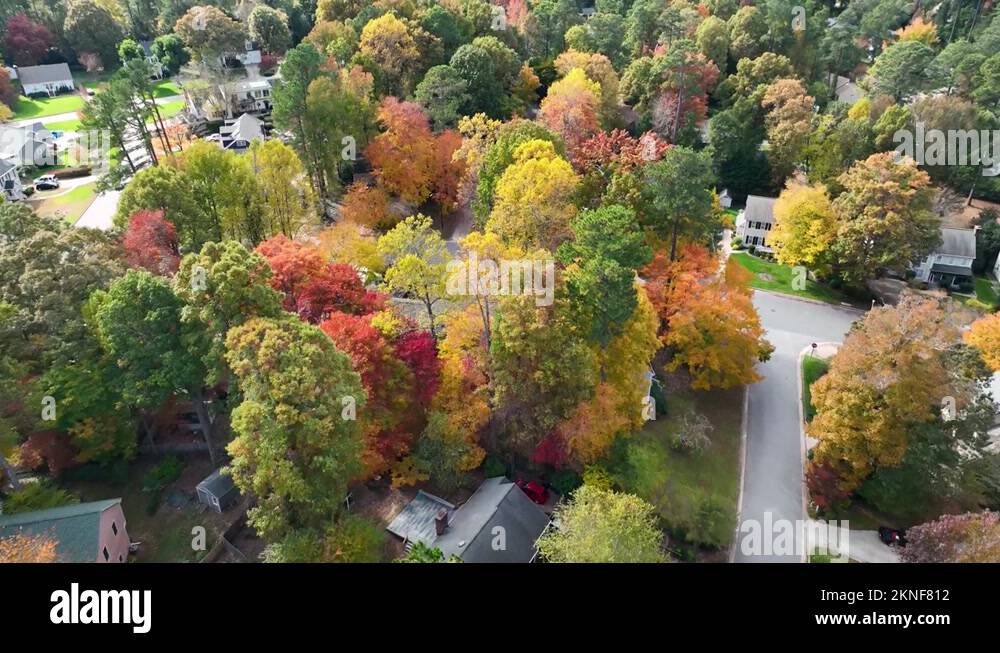 Tilt color Stock Videos & Footage - HD and 4K Video Clips - Alamy