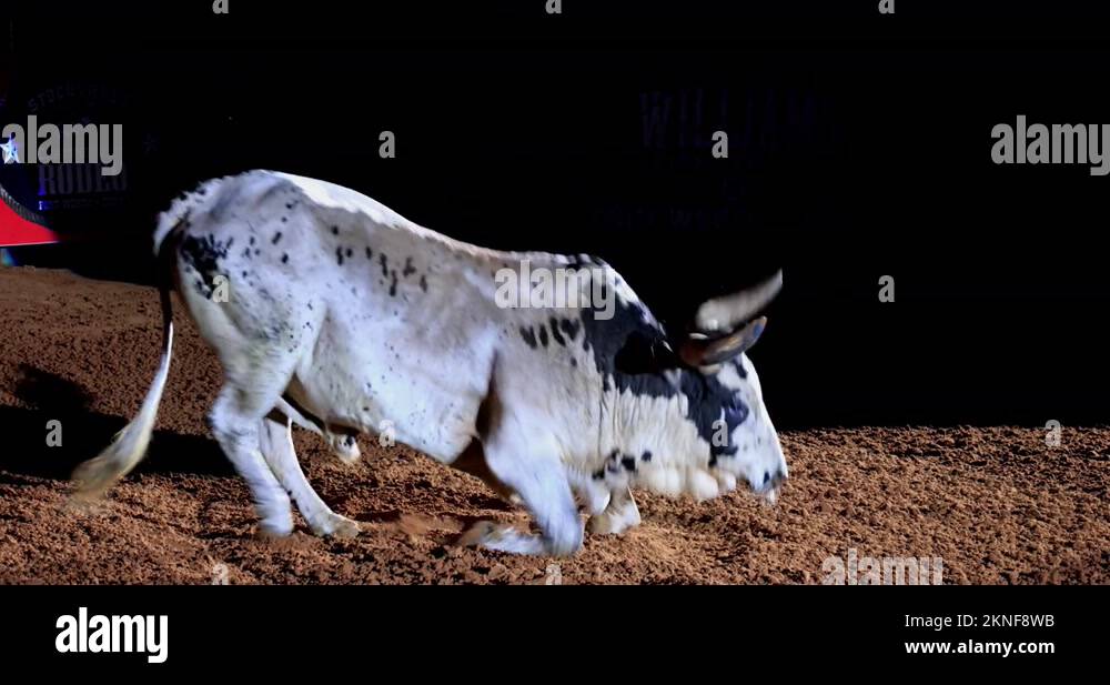 Stockyardschampionshiprodeo Stock Videos & Footage - HD and 4K Video ...