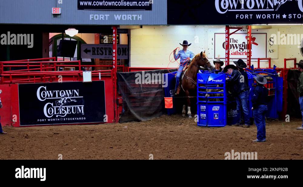 Calf roping competition in the Stockyards Championship Rodeo Stock ...