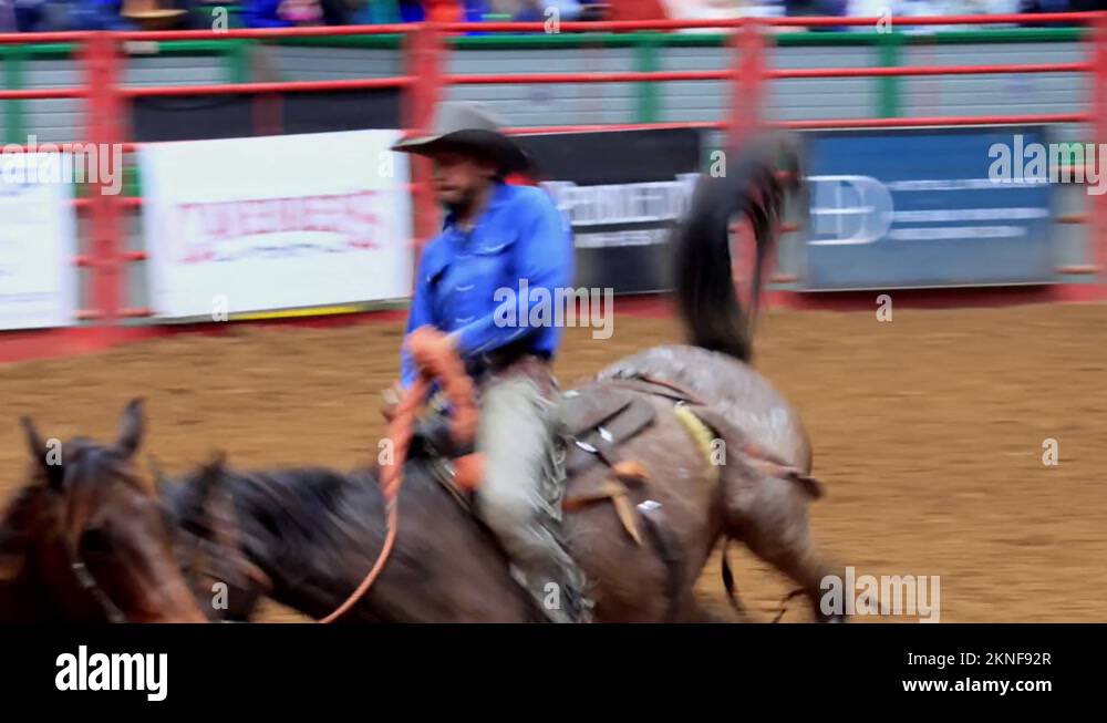 Saddle bronc and bareback bronc riding Stock Videos & Footage - HD and ...