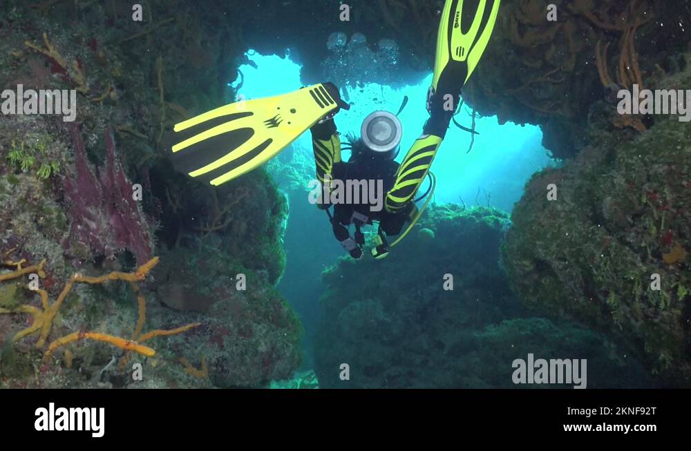 Woman cave diving Stock Videos & Footage - HD and 4K Video Clips - Alamy