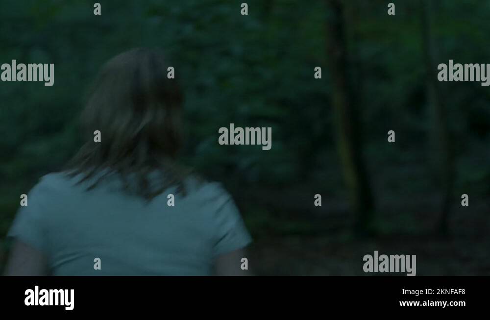 Running through forest scared Stock Videos & Footage - HD and 4K Video ...