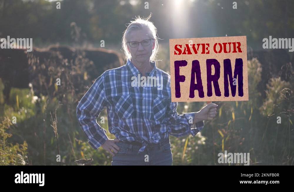 Save our field banner Stock Videos & Footage - HD and 4K Video Clips ...
