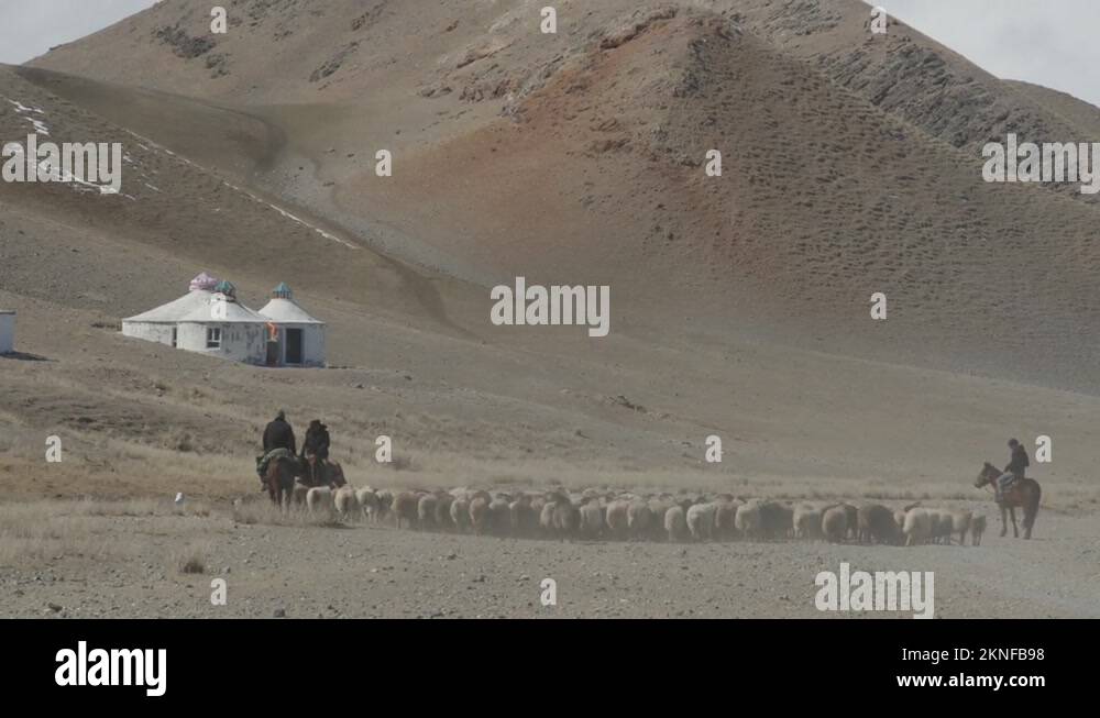 Traditional nomads Stock Videos & Footage - HD and 4K Video Clips - Alamy