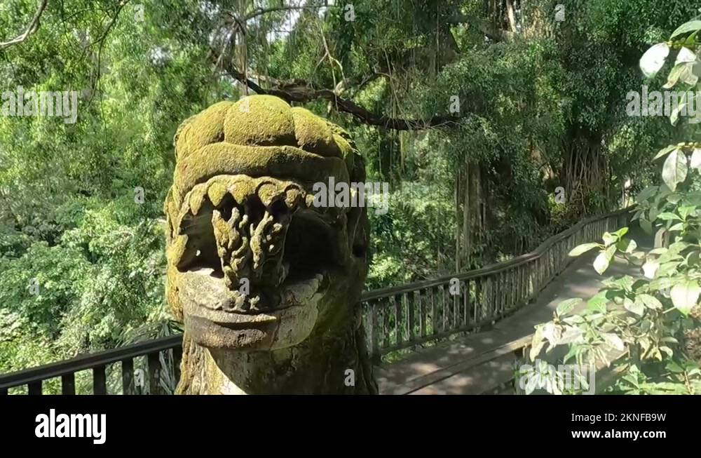 Monkey sculpture art Stock Videos & Footage - HD and 4K Video Clips - Alamy