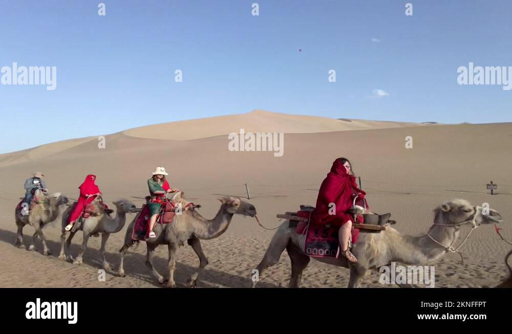 Camel tourism Stock Videos & Footage - HD and 4K Video Clips - Alamy