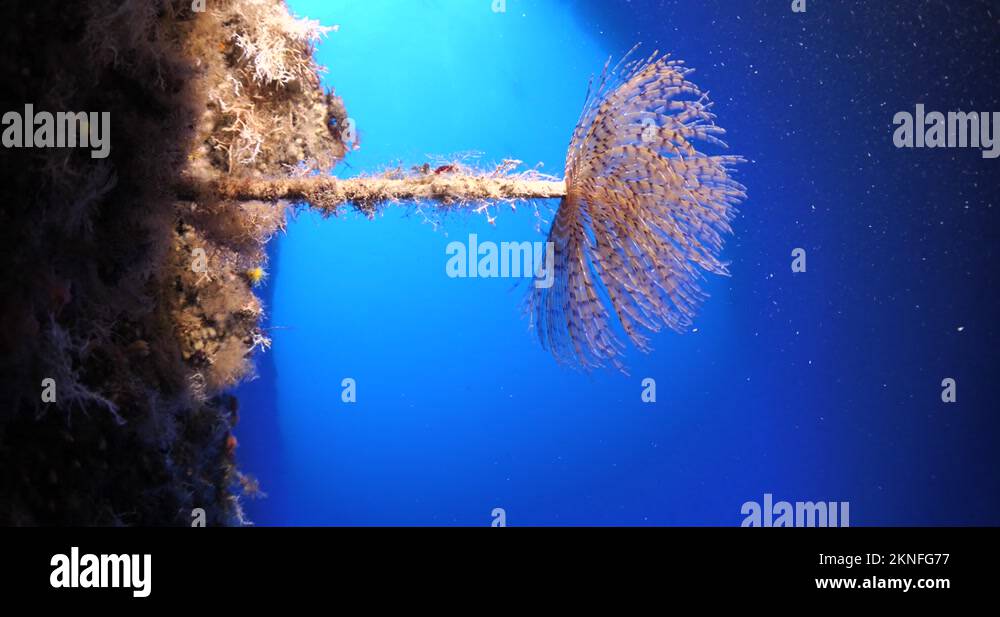 cave diving underwater exploring ocean scenery sun beams and rays ...