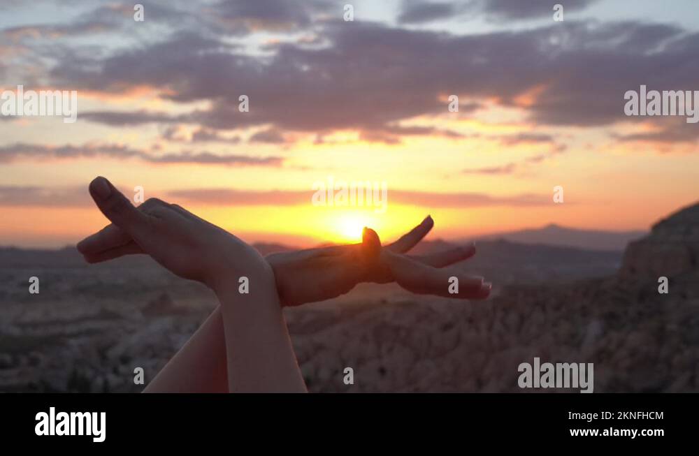 Bird movements Stock Videos & Footage - HD and 4K Video Clips - Alamy