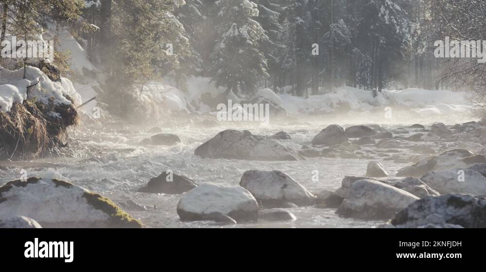 Winter shine Stock Videos & Footage - HD and 4K Video Clips - Alamy