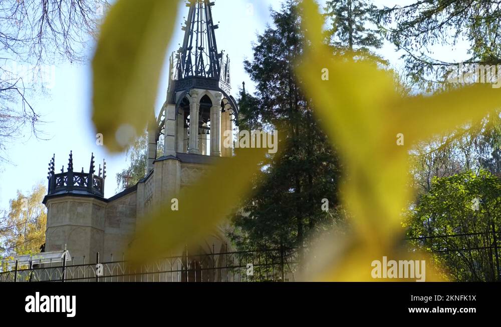 Gothic leaves Stock Videos & Footage - HD and 4K Video Clips - Alamy