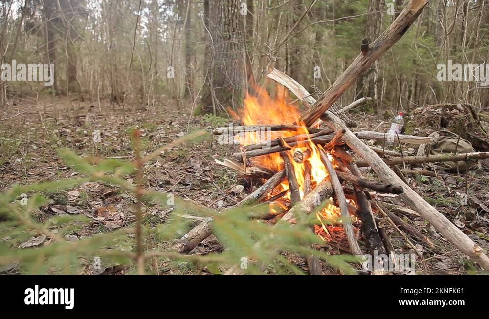 Bonfire in the forest. People lit a fire in the forest for cooking to ...