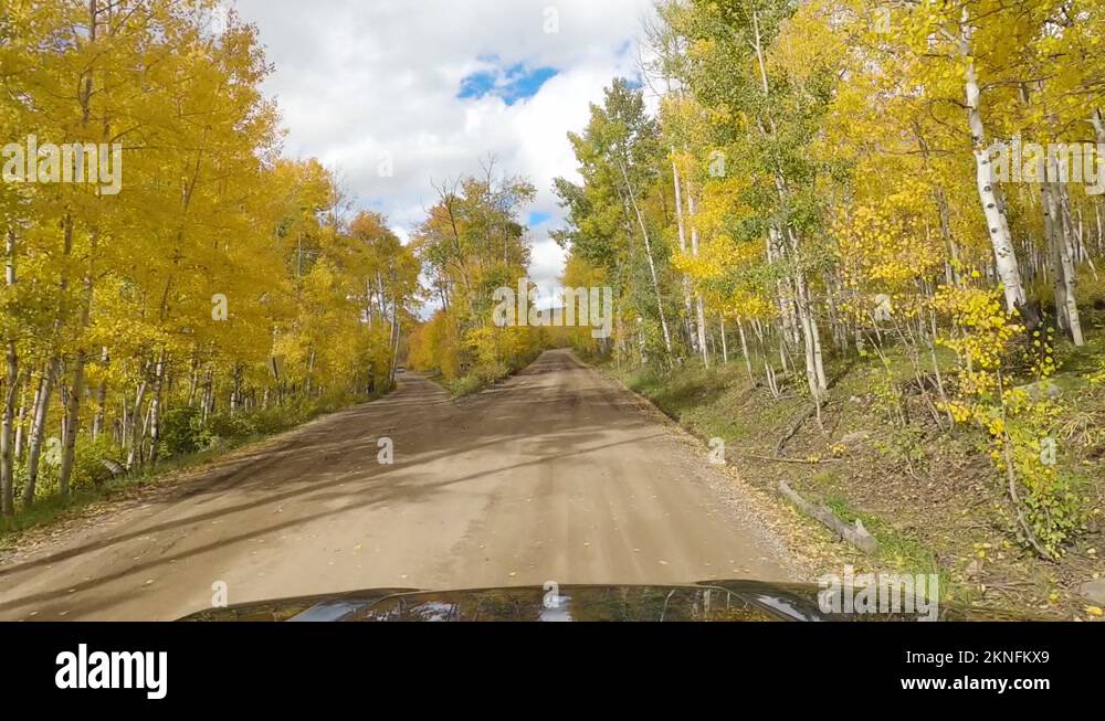 Stopping at road branching and choosing direction in golden color ...