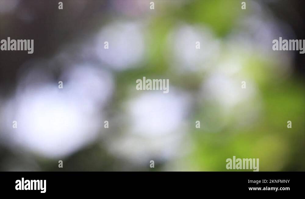 Blurry texture Stock Videos & Footage - HD and 4K Video Clips - Alamy