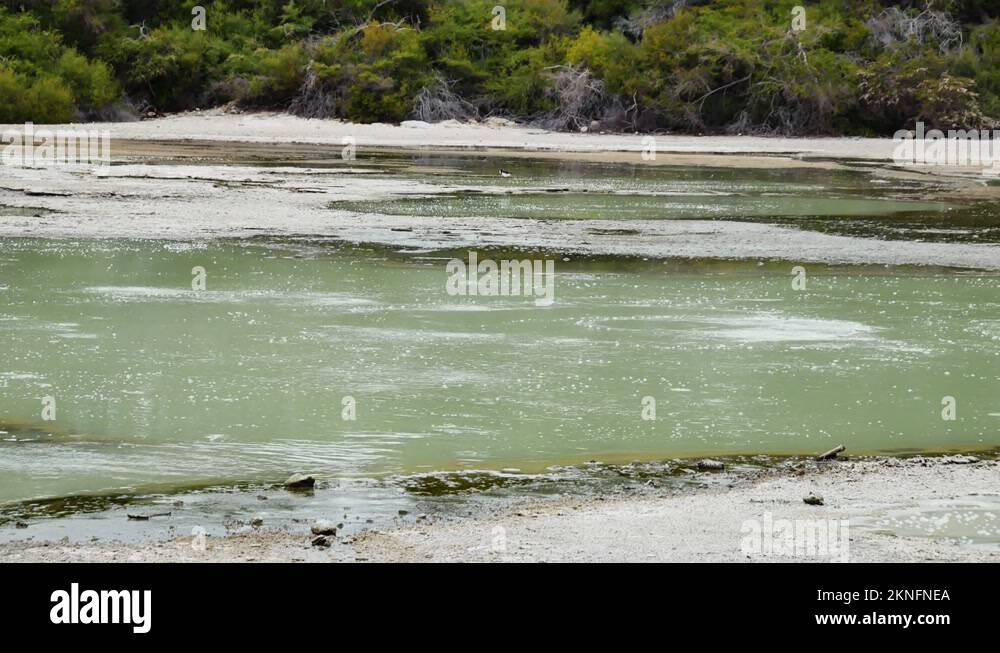 Boil zone Stock Videos & Footage - HD and 4K Video Clips - Alamy