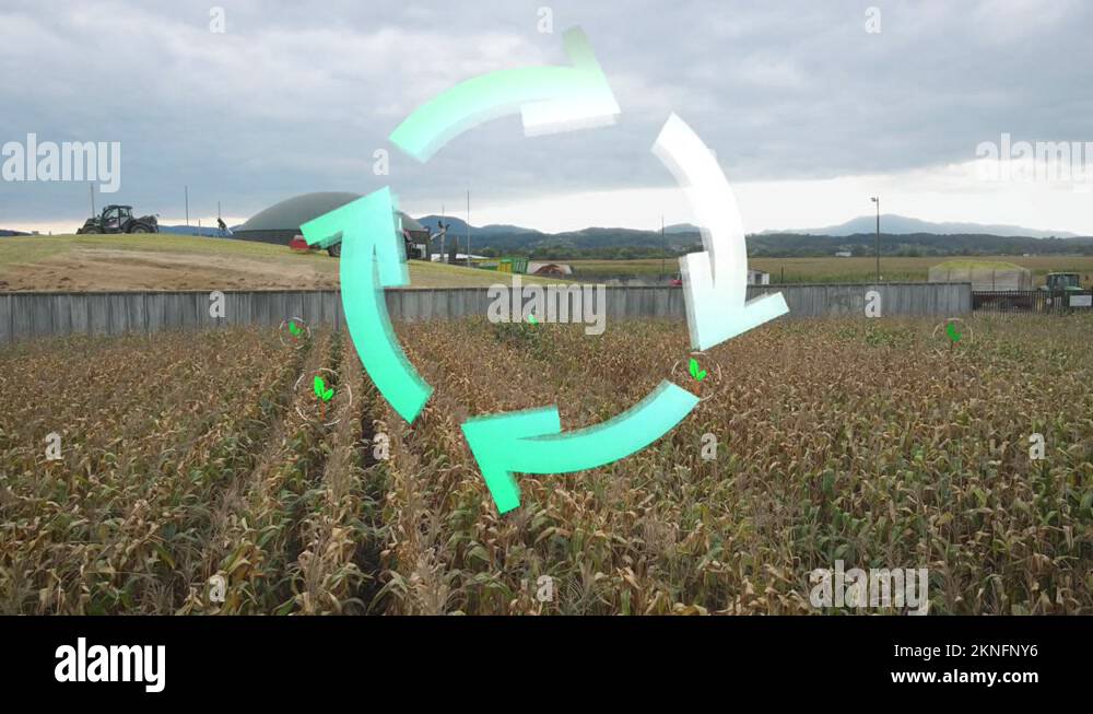 Biomass renewable energy source Stock Videos & Footage - HD and 4K ...