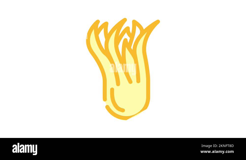 Citron color Stock Videos & Footage - HD and 4K Video Clips - Alamy