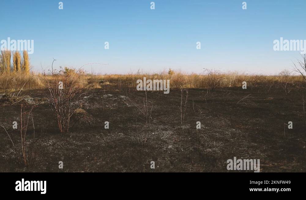 Scorched earth after a fire, background texture. Danger of fire Stock ...