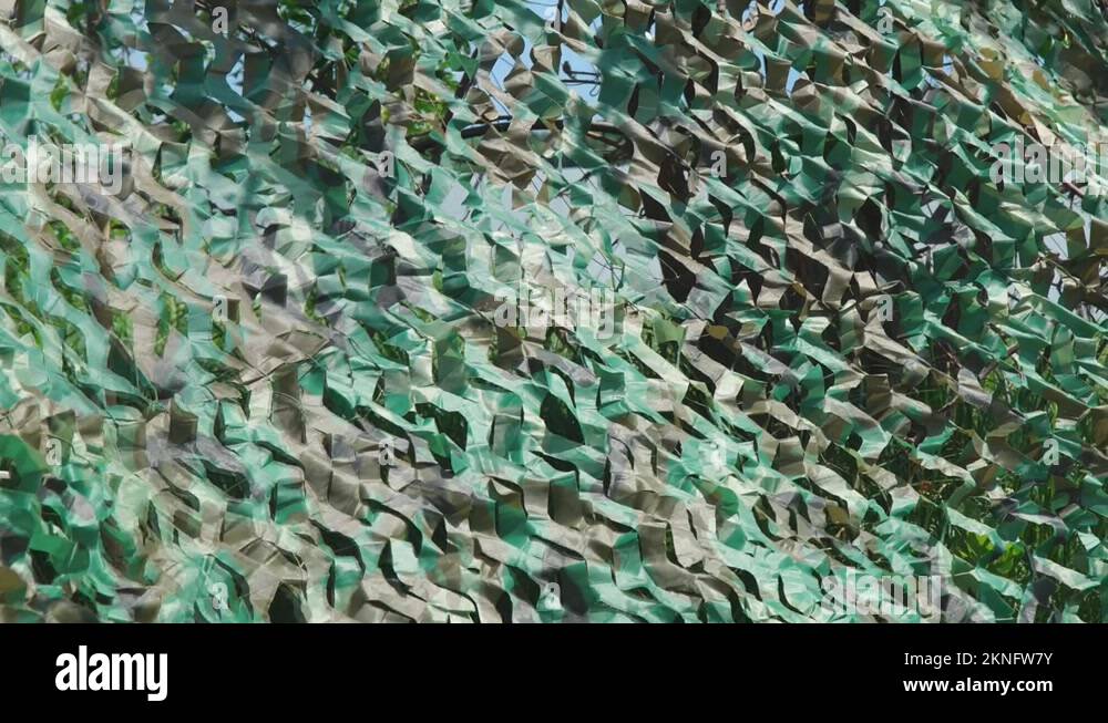 Masking net Stock Videos & Footage - HD and 4K Video Clips - Alamy