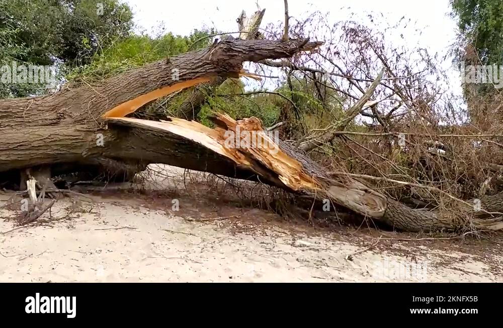 Extreme weather destruction Stock Videos & Footage - HD and 4K Video ...