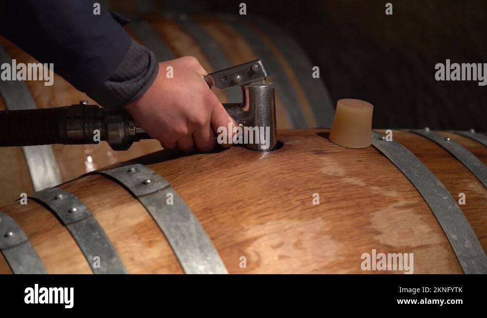 Oak barrel with fermentation Stock Videos & Footage - HD and 4K Video ...