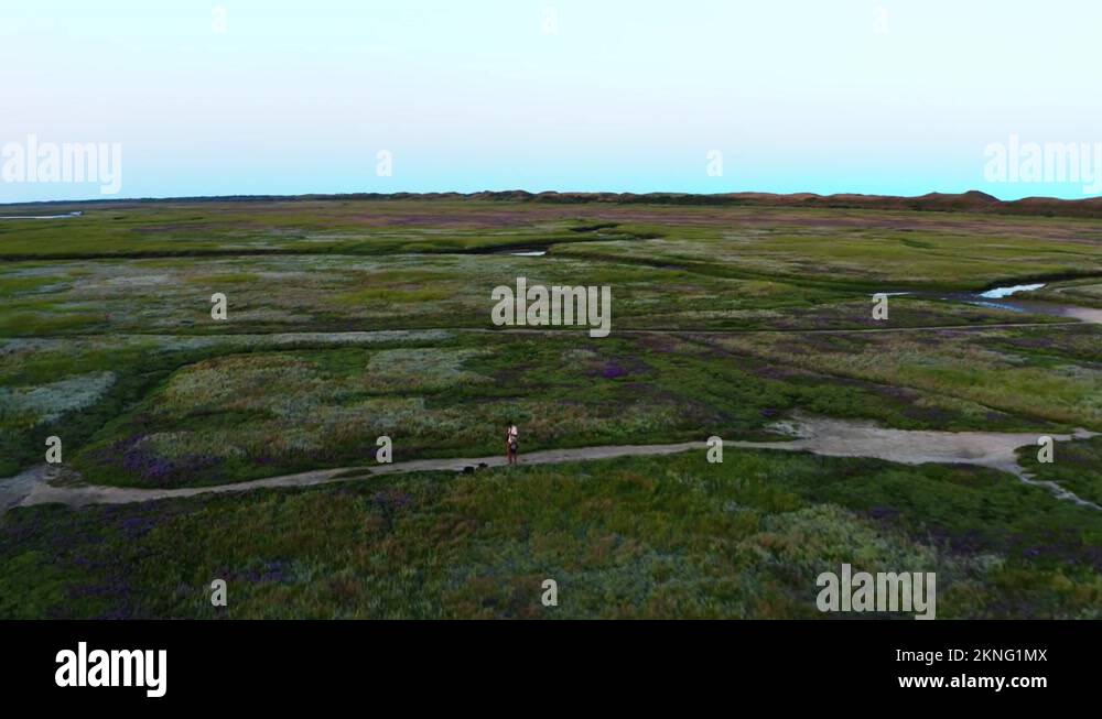 Salt marsh wetland wetlands Stock Videos & Footage - HD and 4K Video ...