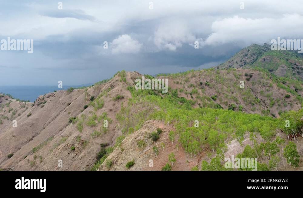 Sparse greenery Stock Videos & Footage - HD and 4K Video Clips - Alamy