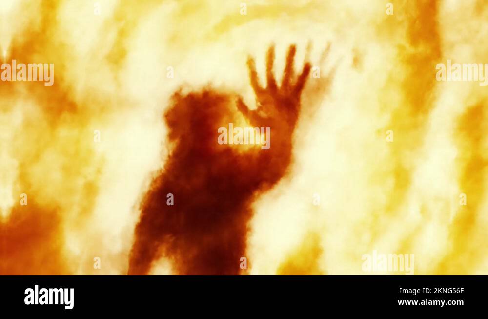 Other reality Stock Videos & Footage - HD and 4K Video Clips - Alamy