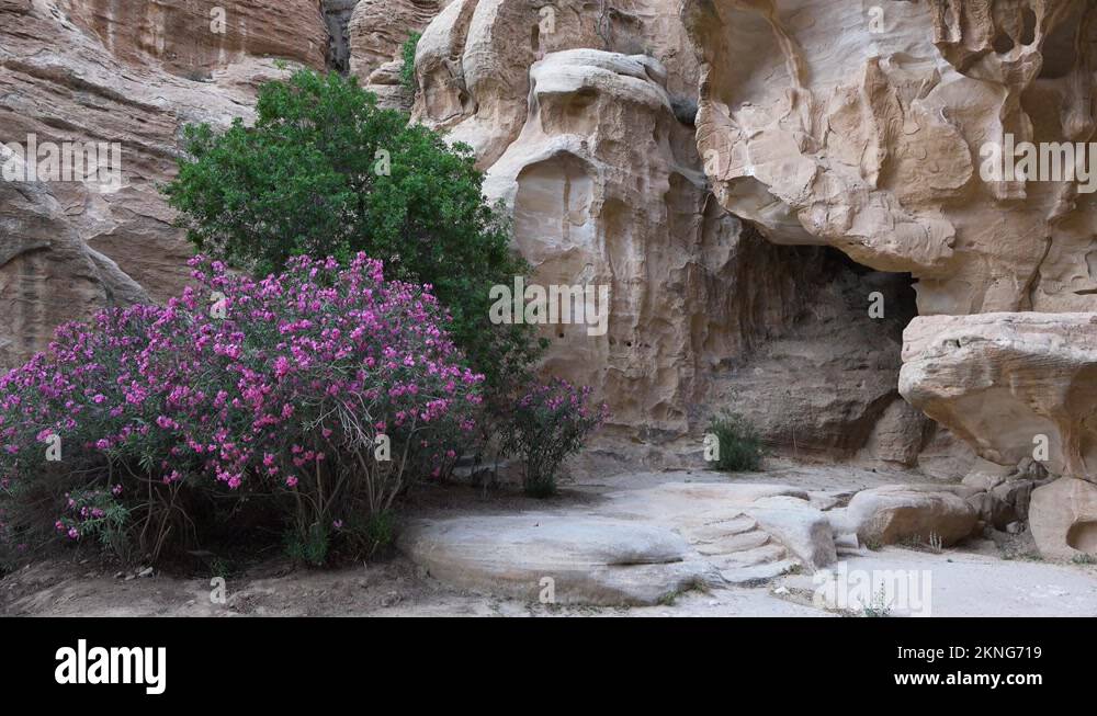 Jordan. The ancient city of Petra. World Historical Heritage Stock ...