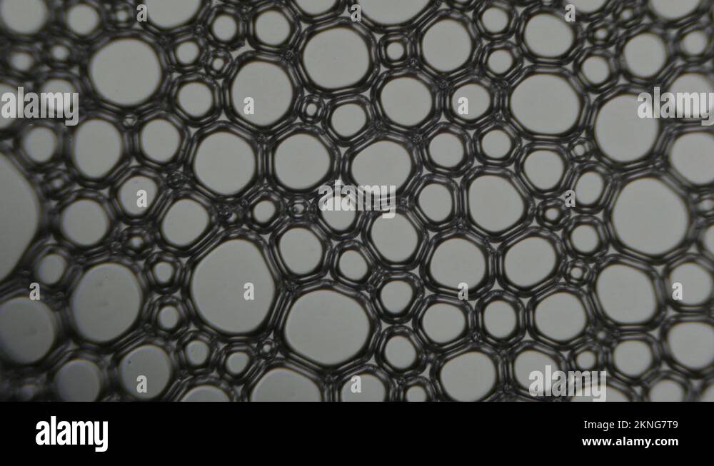 Atom visualization Stock Videos & Footage - HD and 4K Video Clips - Alamy