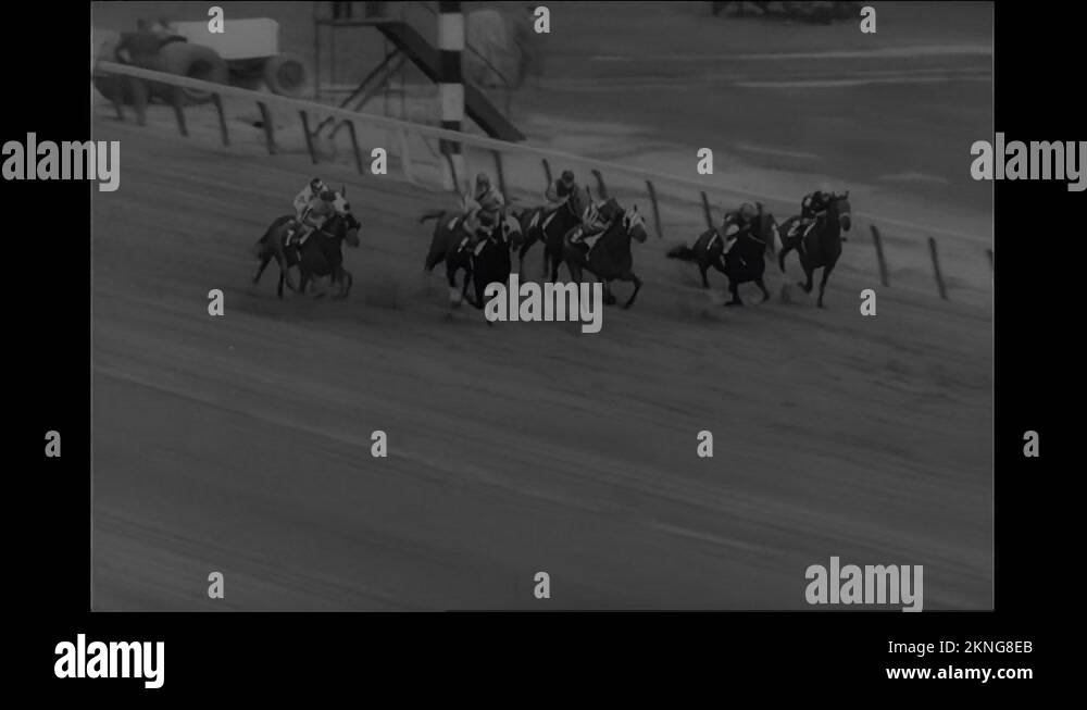 Jamaica race track Stock Videos & Footage - HD and 4K Video Clips - Alamy