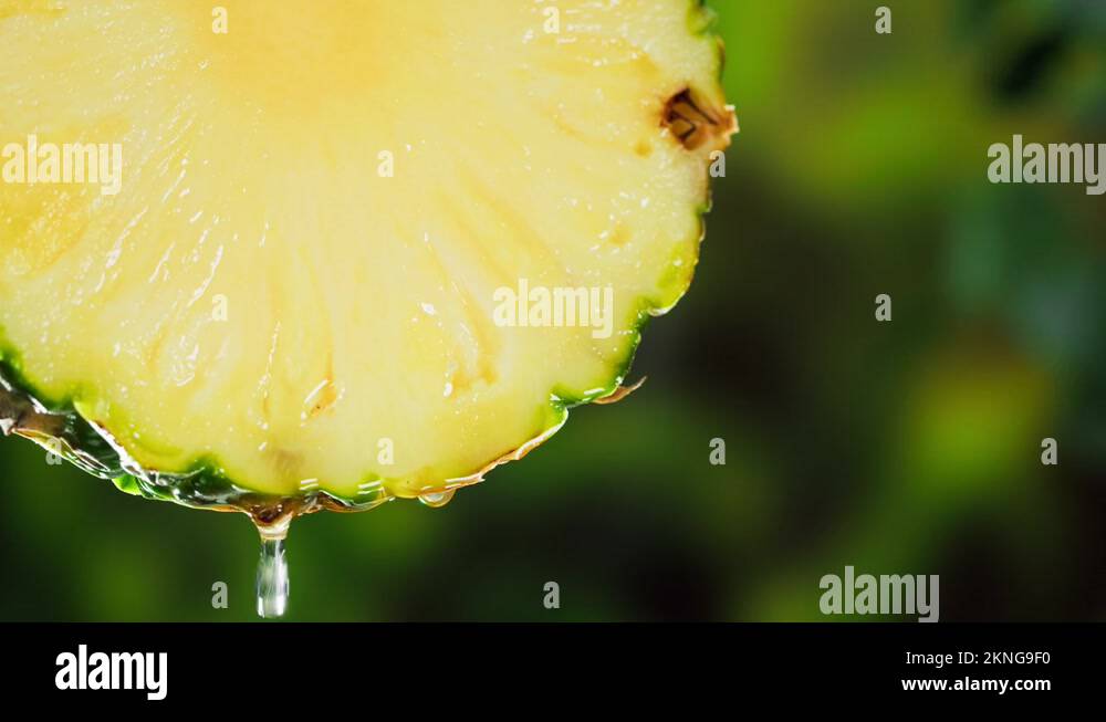 Slice of nature Stock Videos & Footage - HD and 4K Video Clips - Alamy