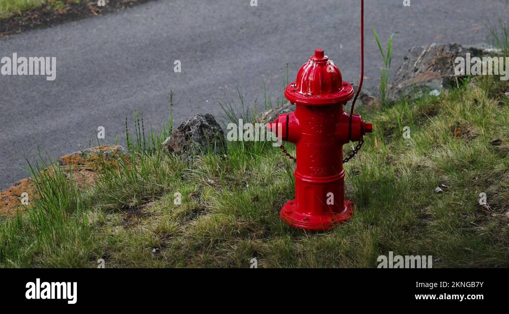 Fire hydrant grass Stock Videos & Footage - HD and 4K Video Clips - Alamy