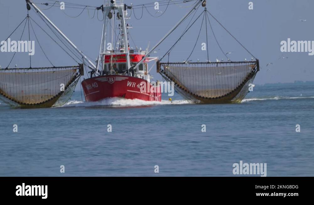 Red fishing nets Stock Videos & Footage - HD and 4K Video Clips - Alamy